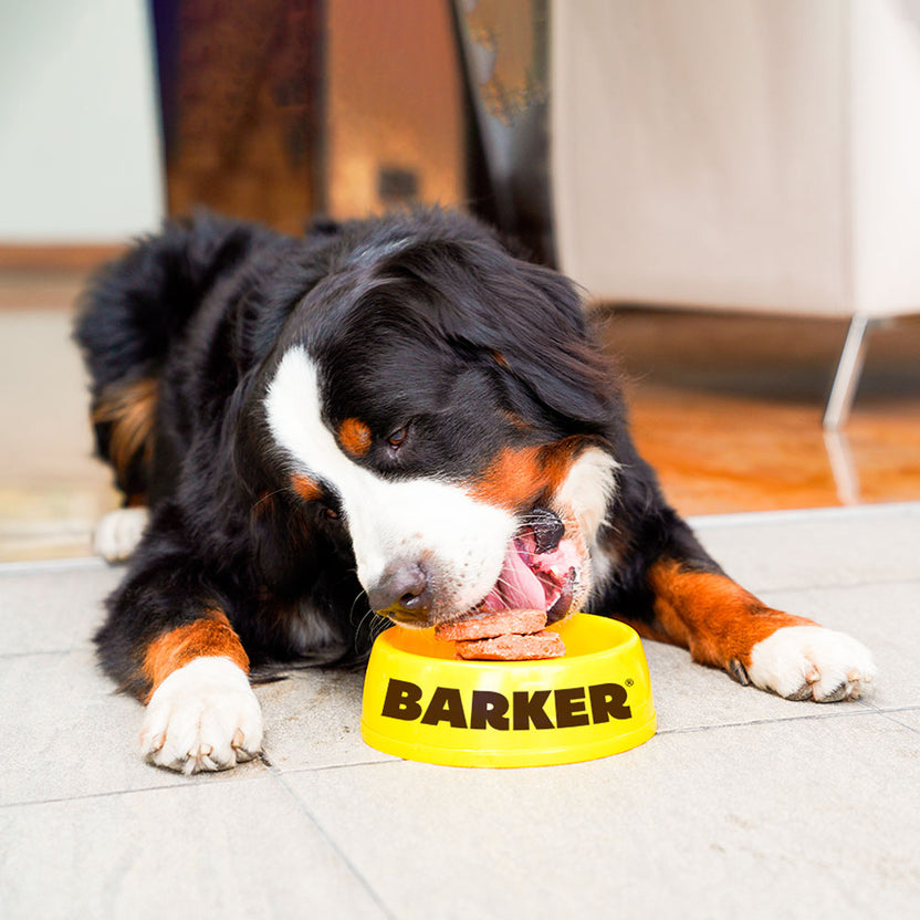 Barker Chile